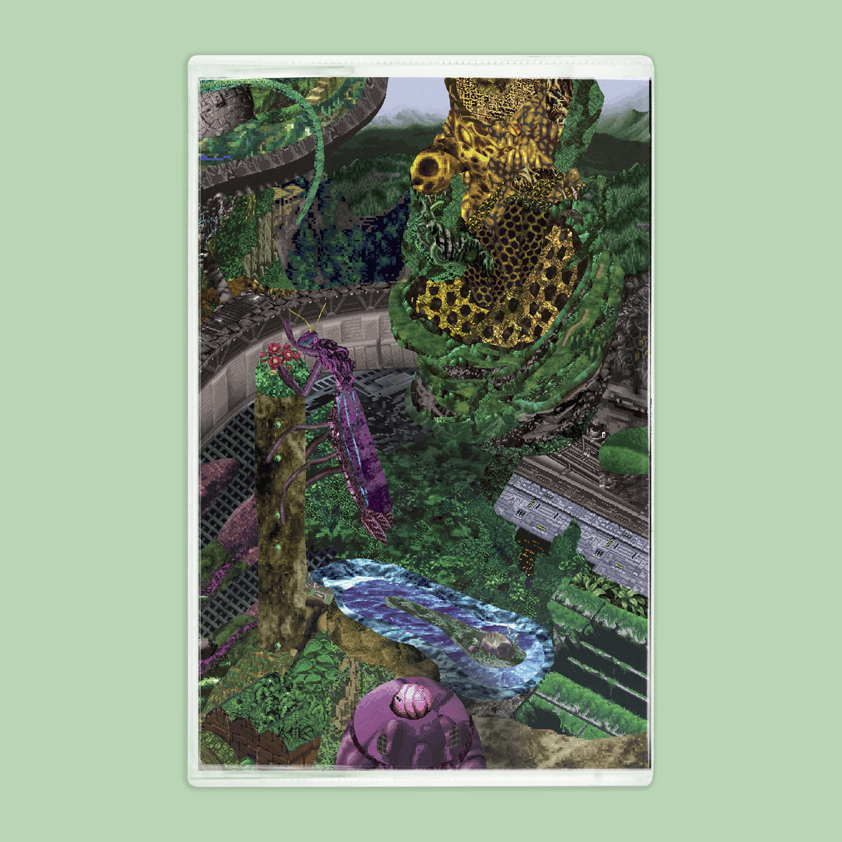 Bug Planet Is the Current Timeline | Euglossine