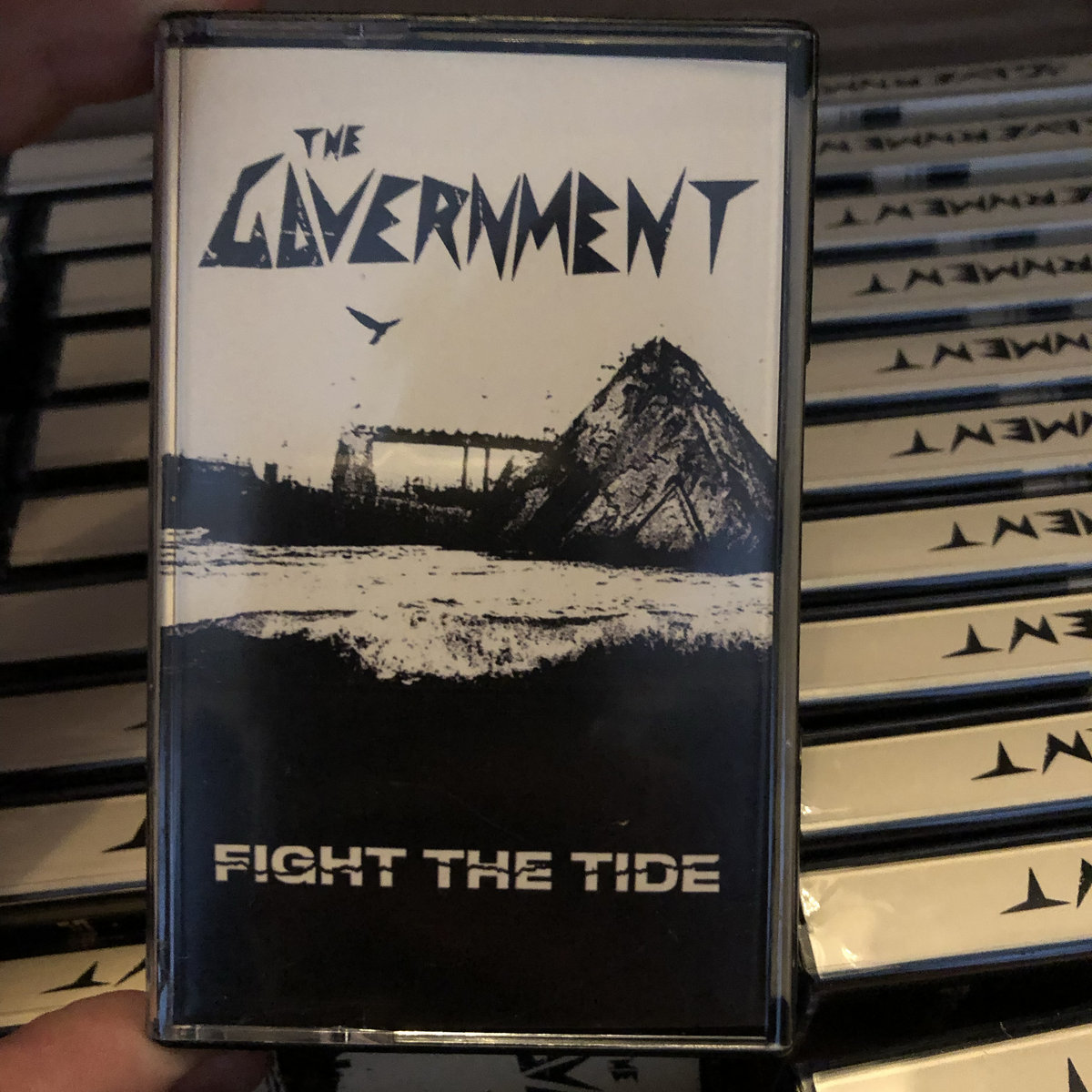 Fight the Tide | The Government