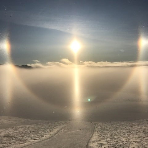 Querencia | Liminal Objects