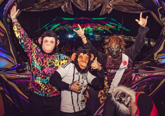 Jungle Monkeys - Monkeys Can Fly | Jungle Monkeys