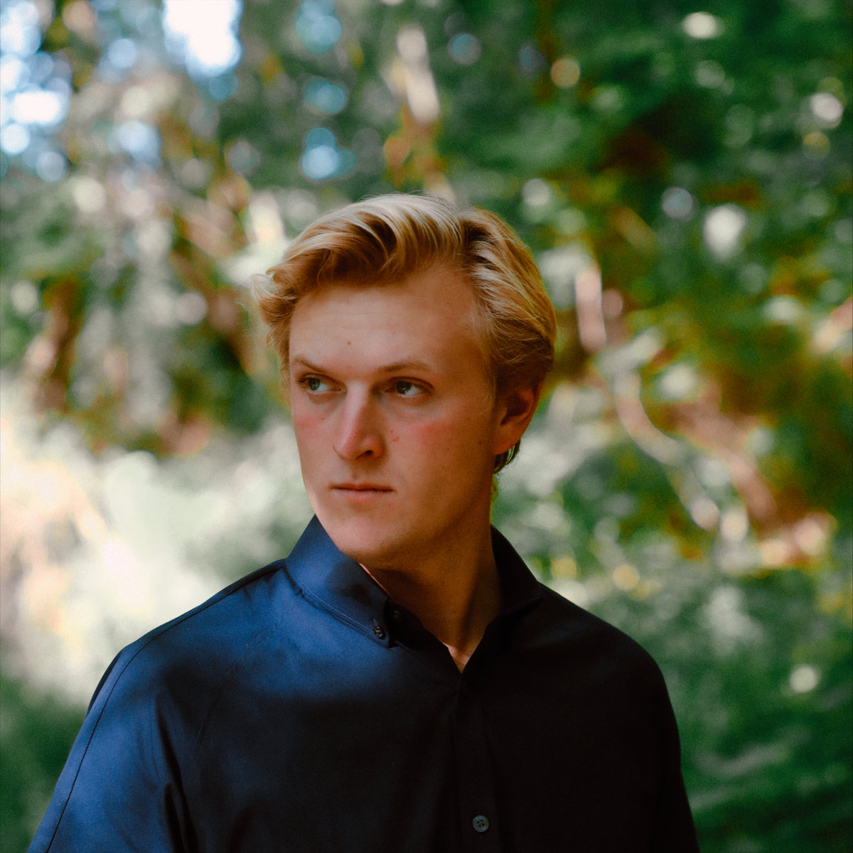 Beautiful World | Collin Westerlund