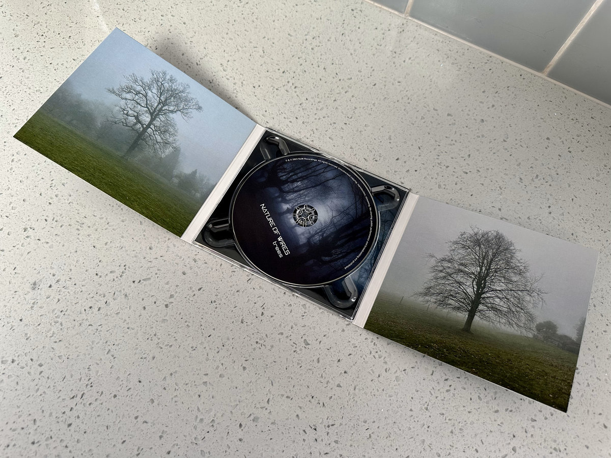 Trees + Building Reflections - Limited Edition Compact Discs | Nature ...