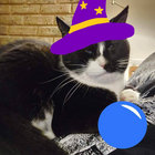 Forbidden Morals | VOID