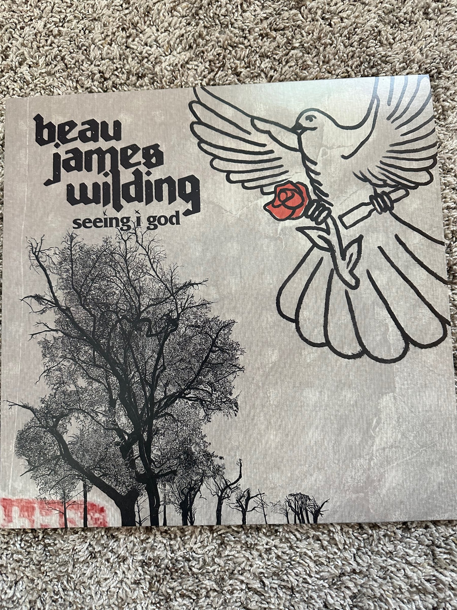 seeing i god | Beau James Wilding