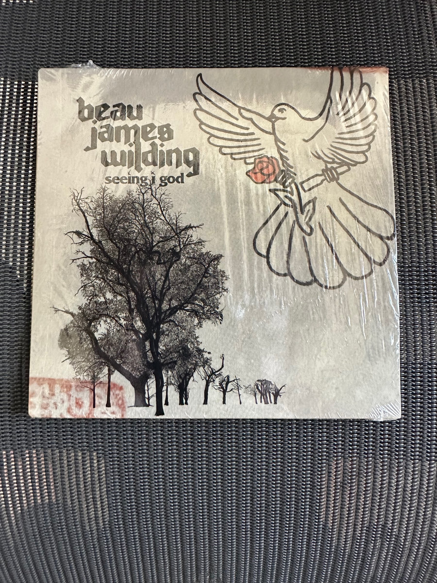 seeing i god | Beau James Wilding