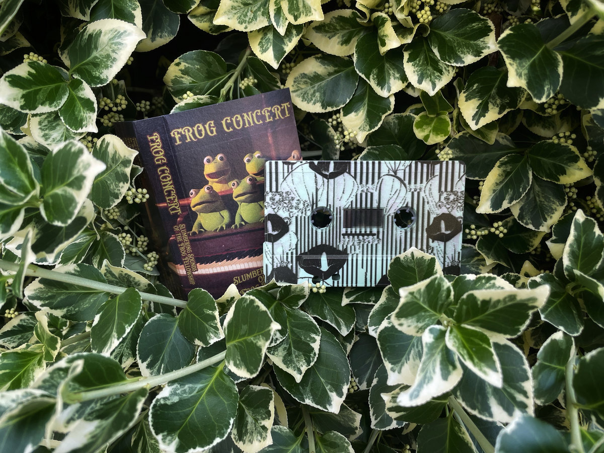 Slumbering Sounds of the Frog Fellowship | Frog Concert