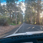 Del Oro | Floating Points