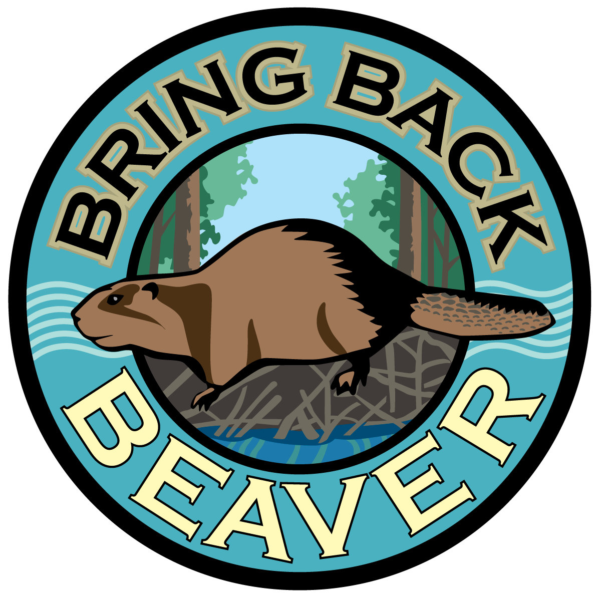 Beaver Celebration | stephen malcolm anderson