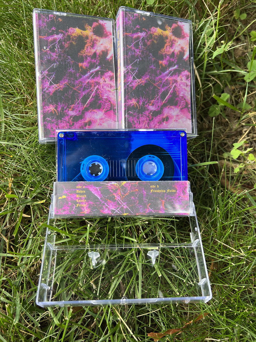 Friendship Fields | Samskara