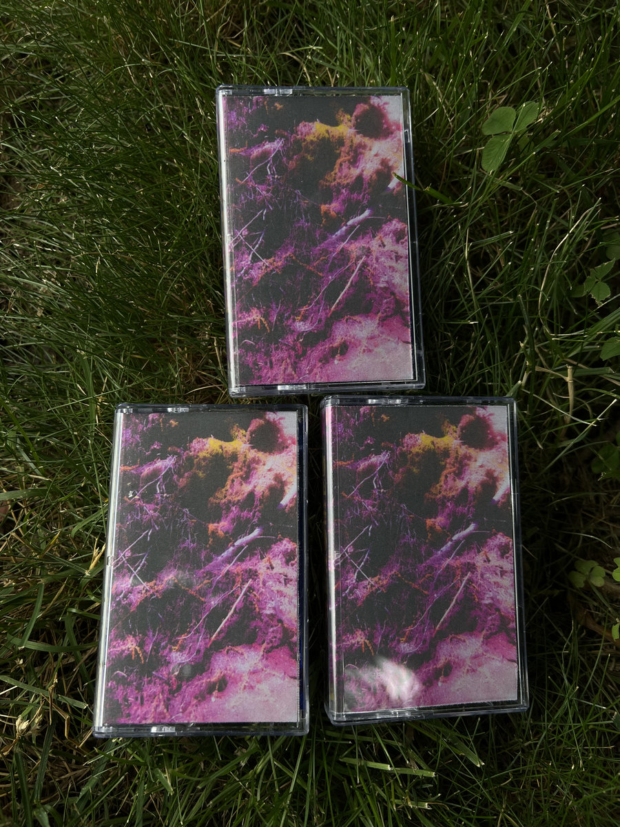 Friendship Fields | Samskara
