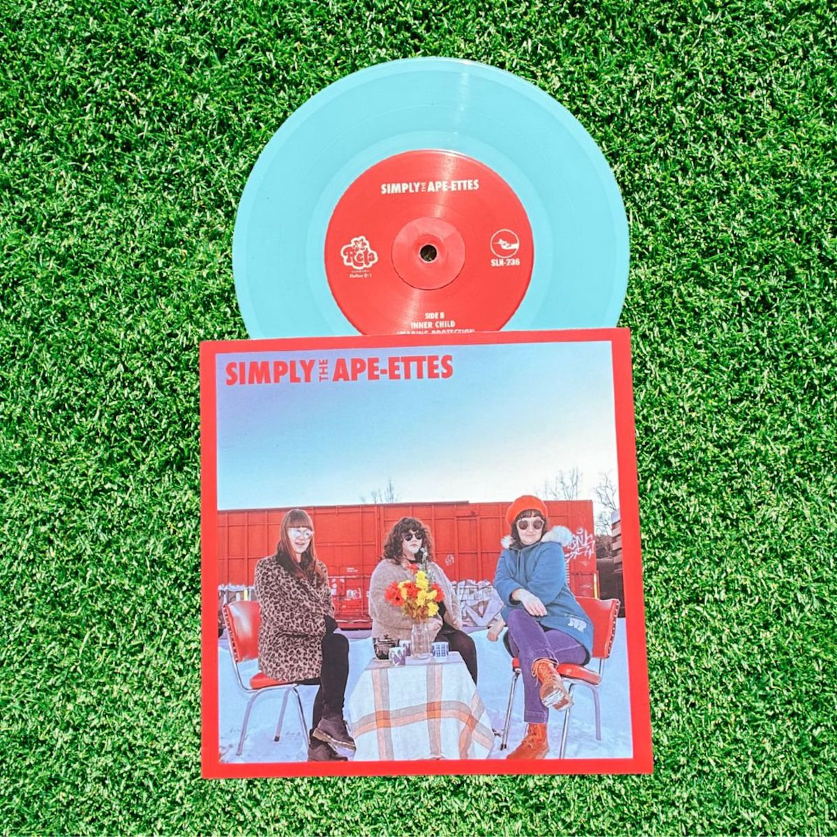 Simply The Ape-Ettes | The Ape-Ettes | Reta Records