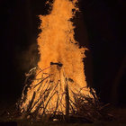 Lamp Phantasma (2008) / ランプ幻想 | Lamp | Botanical House