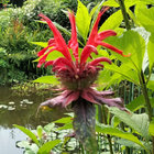 Franco Luambo Makiadi Presents Les Editions Populaires (1968-1970 ...