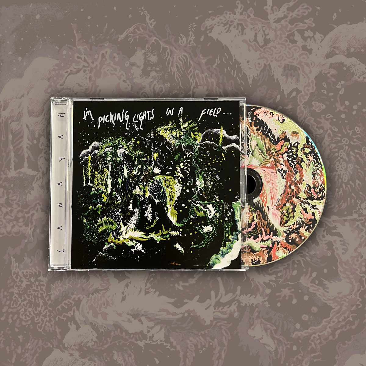 I'm Picking Lights in a Field... | Lanayah