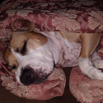 dylan_cameron's collection | Bandcamp