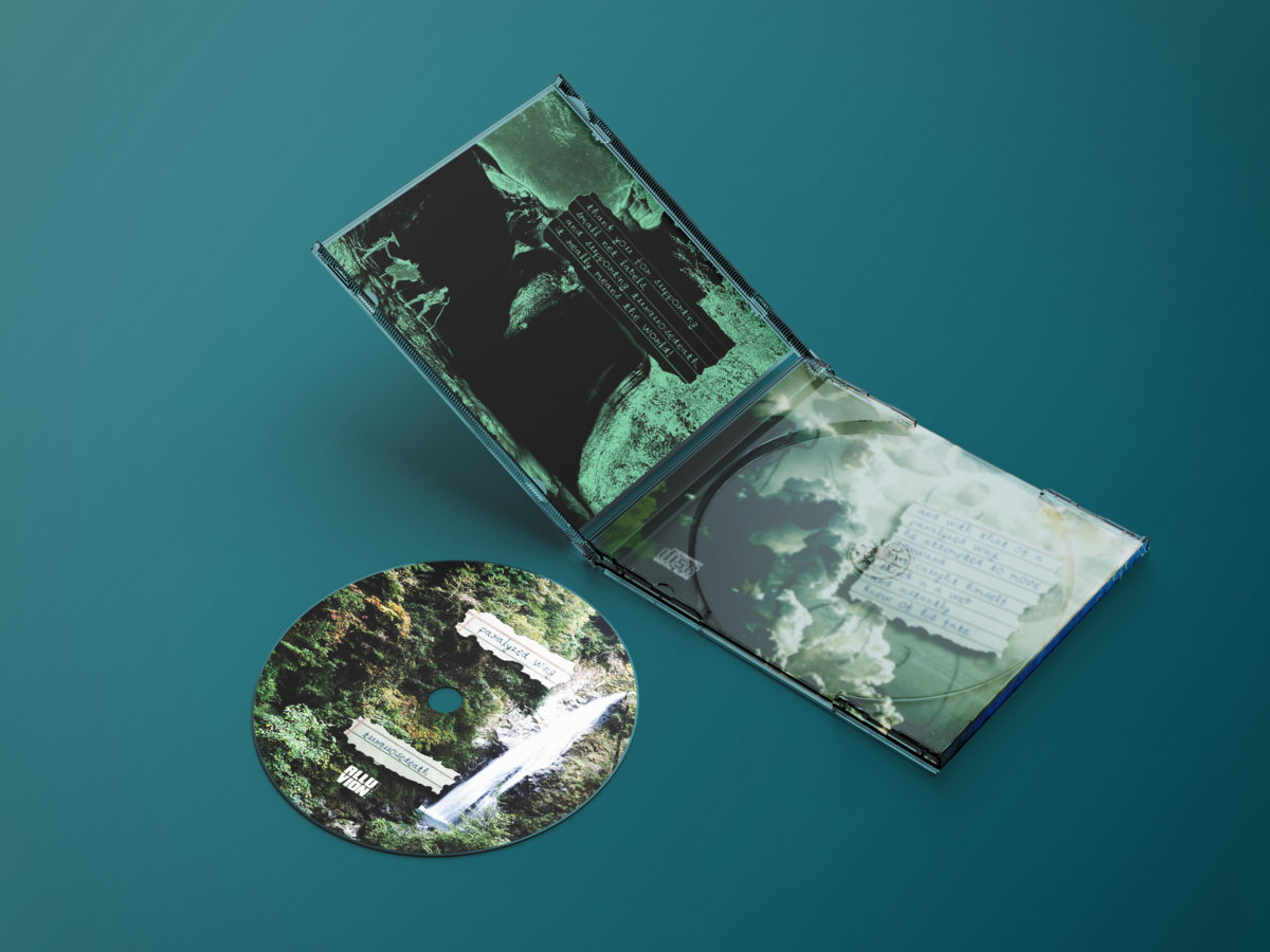 Paralyzed Wing | TURQUOISEDEATH | ALLUVION