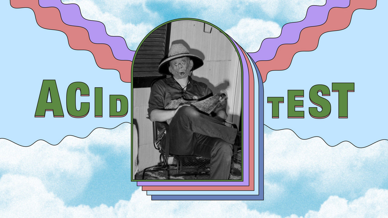 Artist Guide | Bandcamp