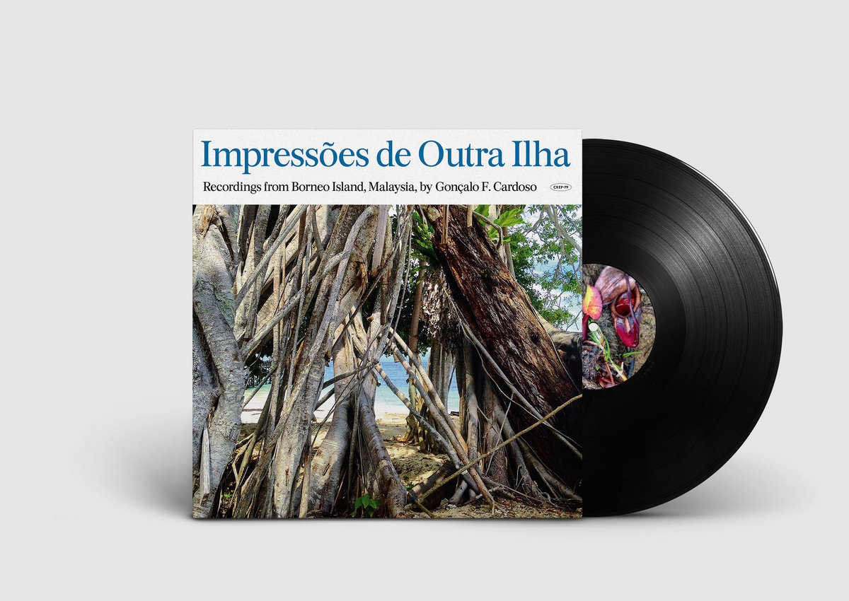 Impressões de Outra Ilha (Borneo) | Gonçalo F. Cardoso