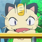 Impossible Animals | ROAR