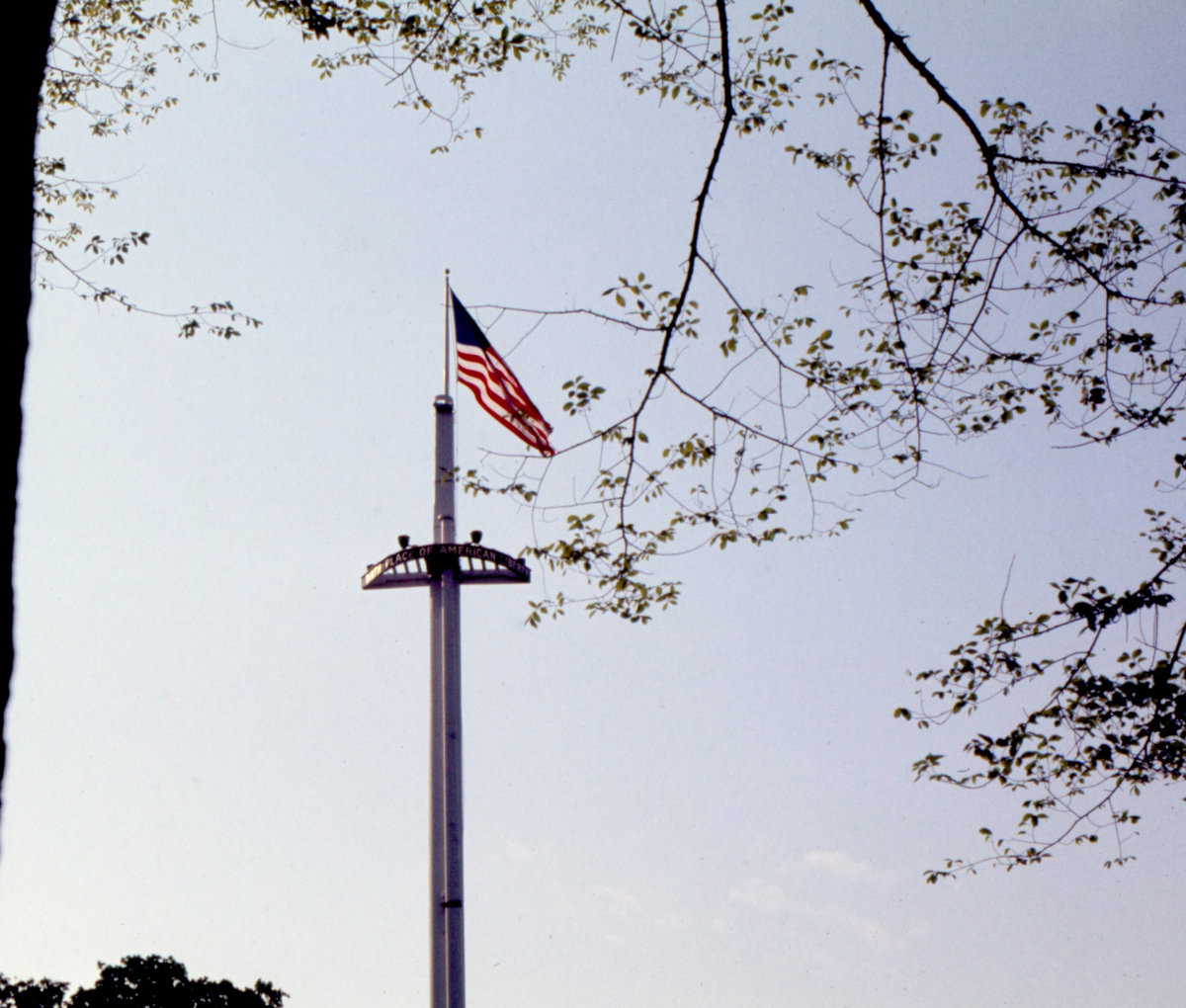 Death of A Teenager: The Last 12 Hours. | Staring Contest, Signs ...