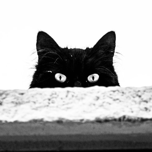 Gideon and the Case of the Mondays | ghost_cat_enthusiast