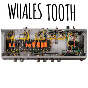 Music | Whales Tooth