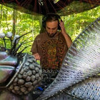 Bubbleguns - Kingdom Of Trees | Pralayah Records