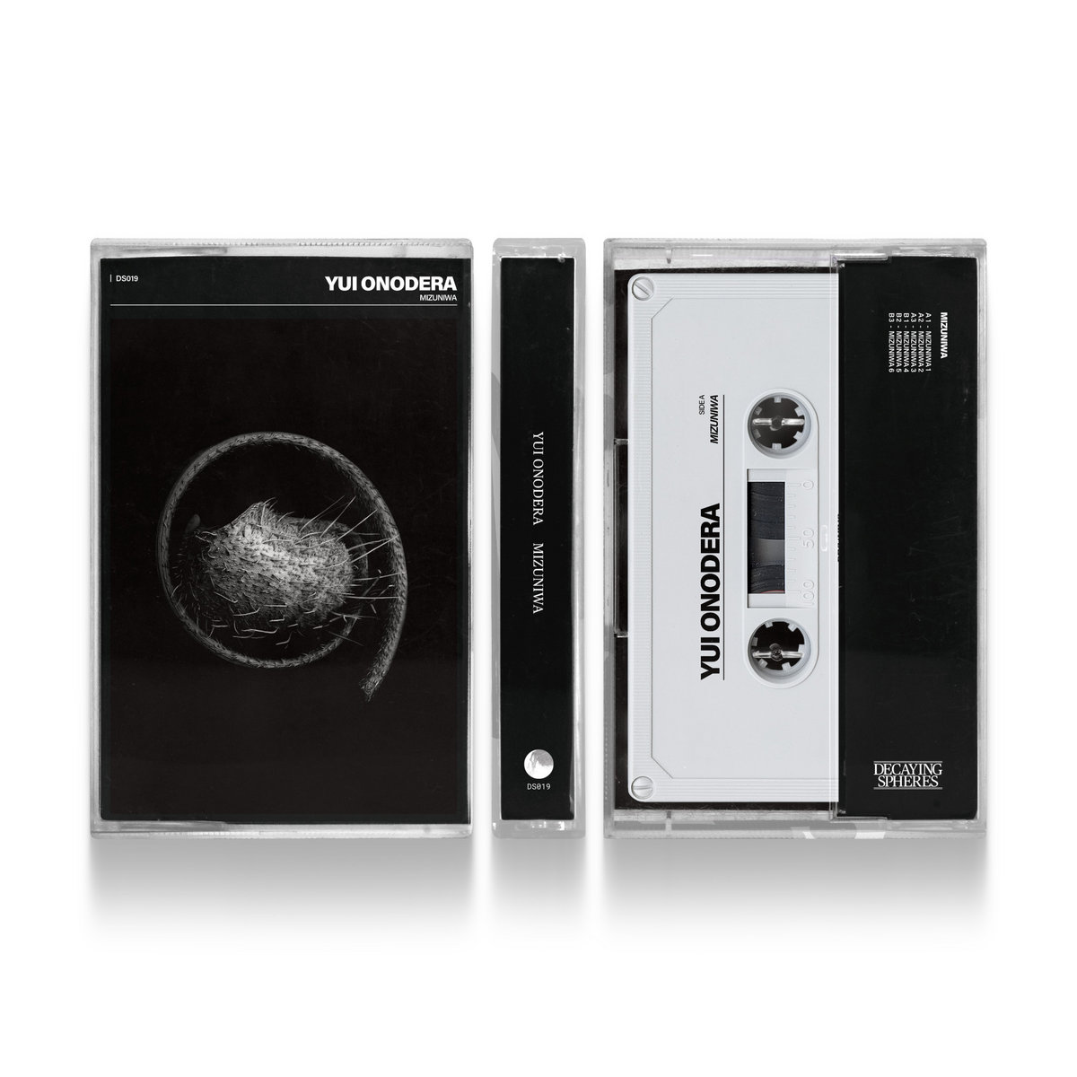 Mizuniwa | Yui Onodera