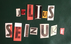 Music | Julius Seizure
