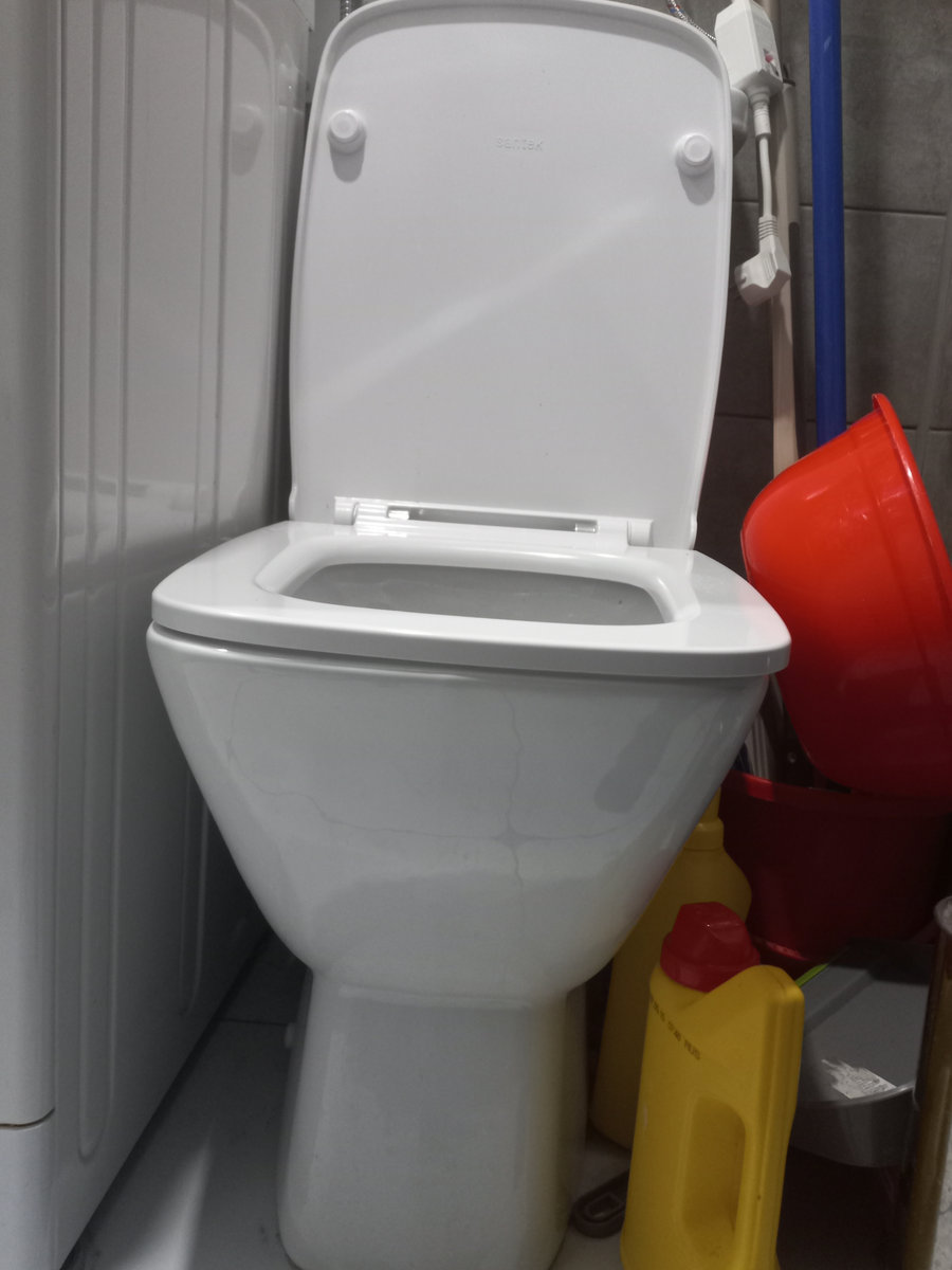 DOG ASS | Fecal Obsession