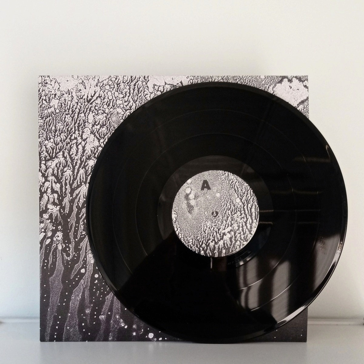 S/T | Fossa Magna | Damien Records