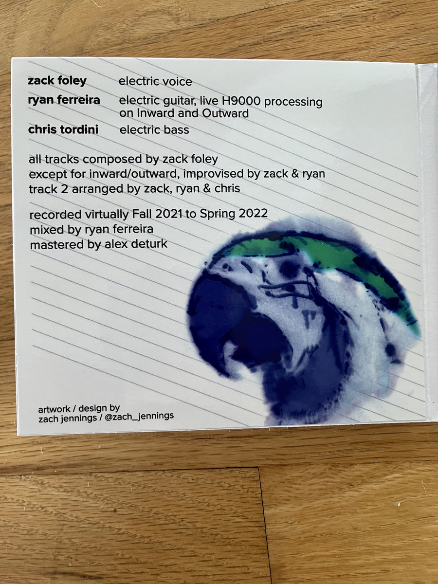 A Bird in the Hand | Zack Foley