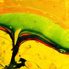 Abyssinia Afterlife | Black Flower