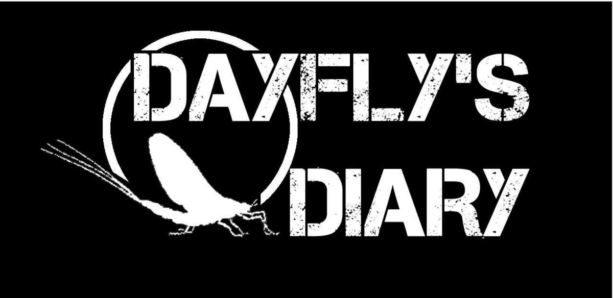 See the light | Dayfly's Diary