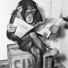 REBEL FREQUENCY | Nattali Rize