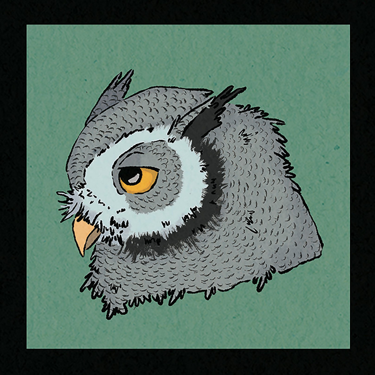 Birdwatching (Full Album Stream) | Folk Medicine
