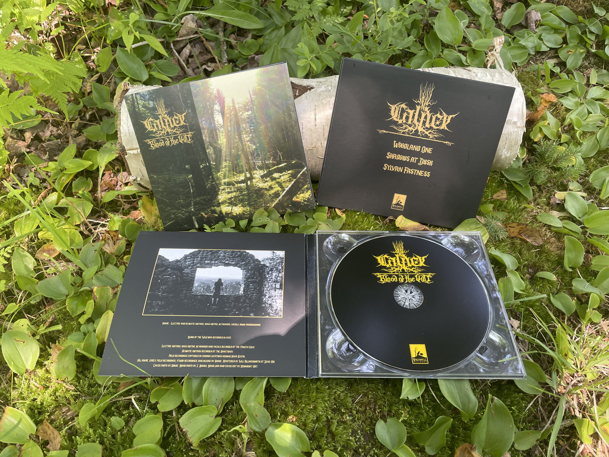 Blood of the Wild (Remastered 2023) | Calnek