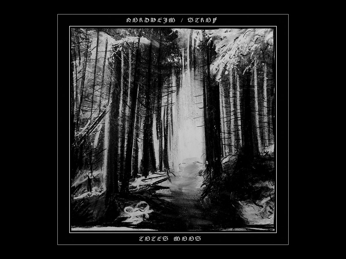 Totes Moos | Nordheim / Strof | Dolomia Nera