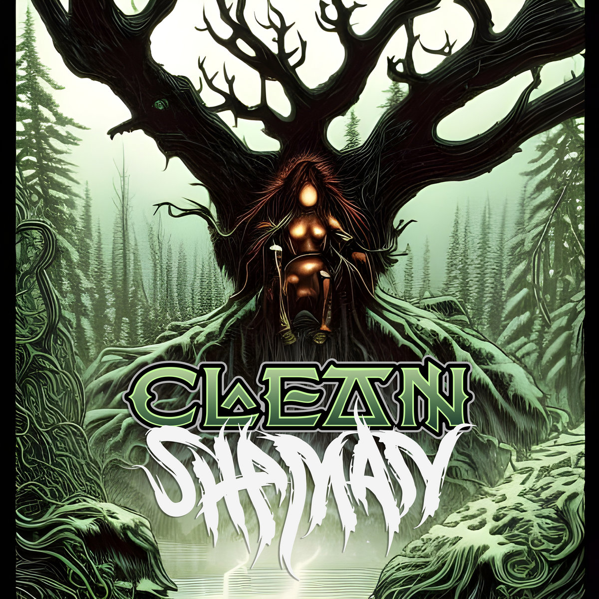 CLEAN SHAMAN | CLEAN SHAMAN