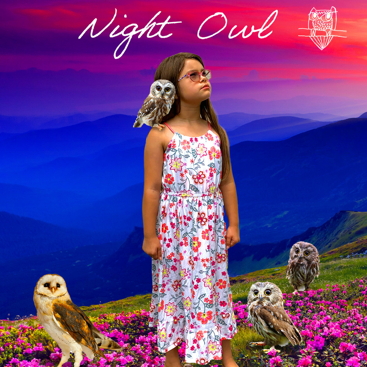 Night Owl | Night Owl