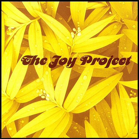 Whatever Happened to Ultramarine | The Joy Project