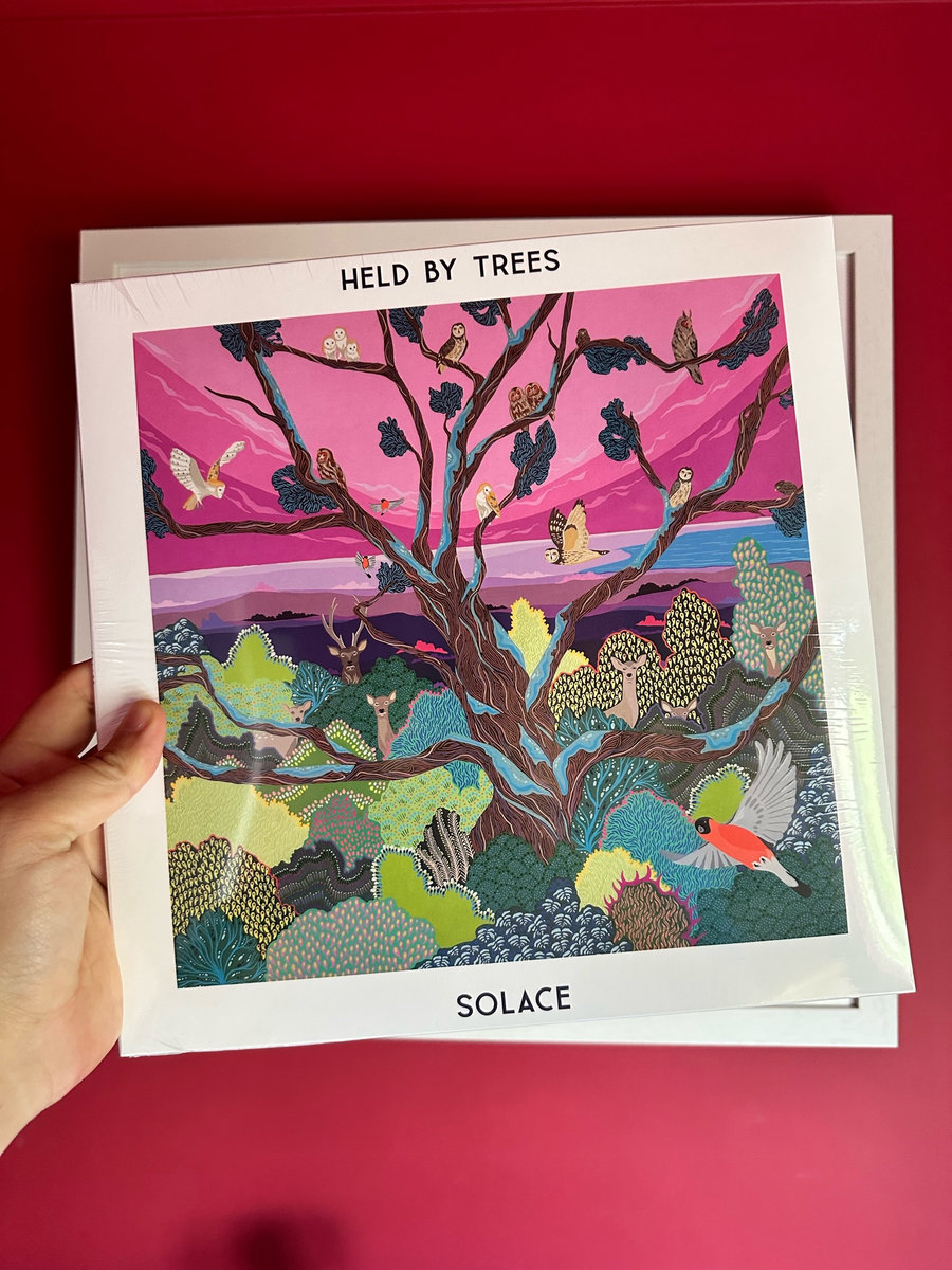 Solace | Held By Trees