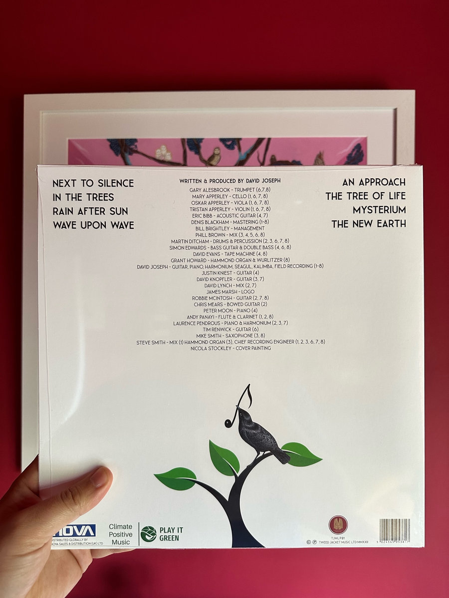 Solace | Held By Trees