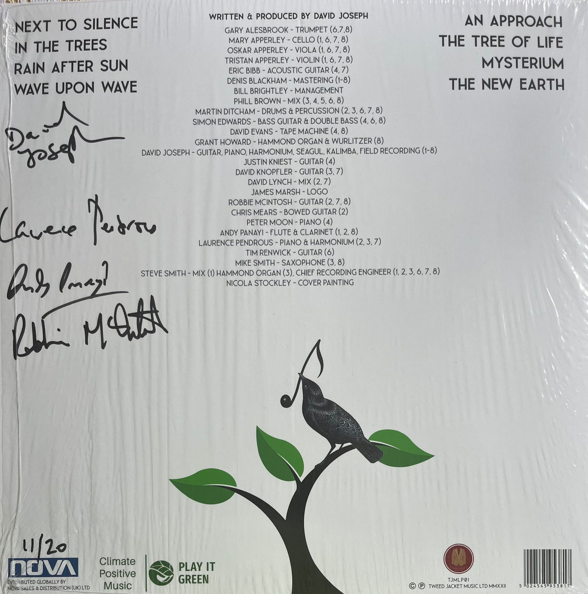 Solace | Held By Trees