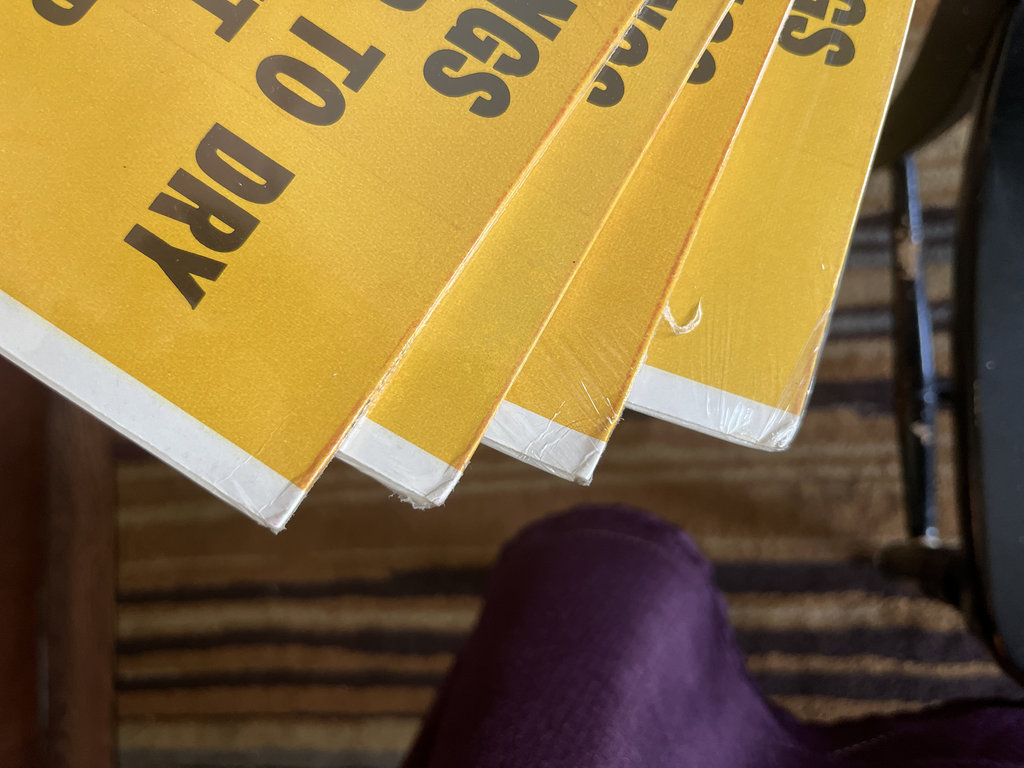 Country/Reggae Legends Souled American Are Ready To Blow Minds Again ...