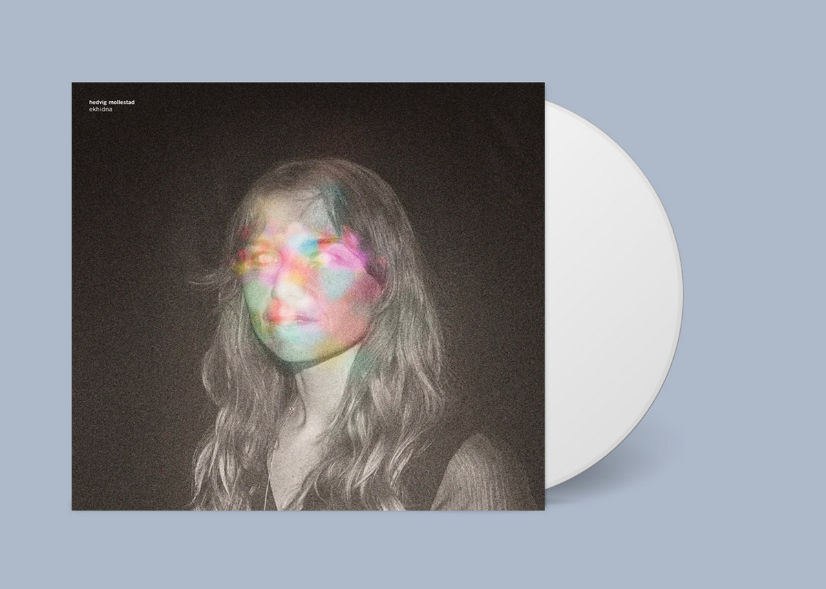 Ekhidna | Hedvig Mollestad