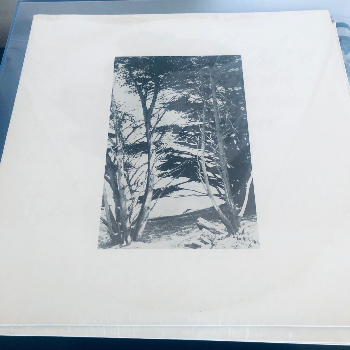 Gentle Wilderness | Rick Deitrick | Tompkins Square