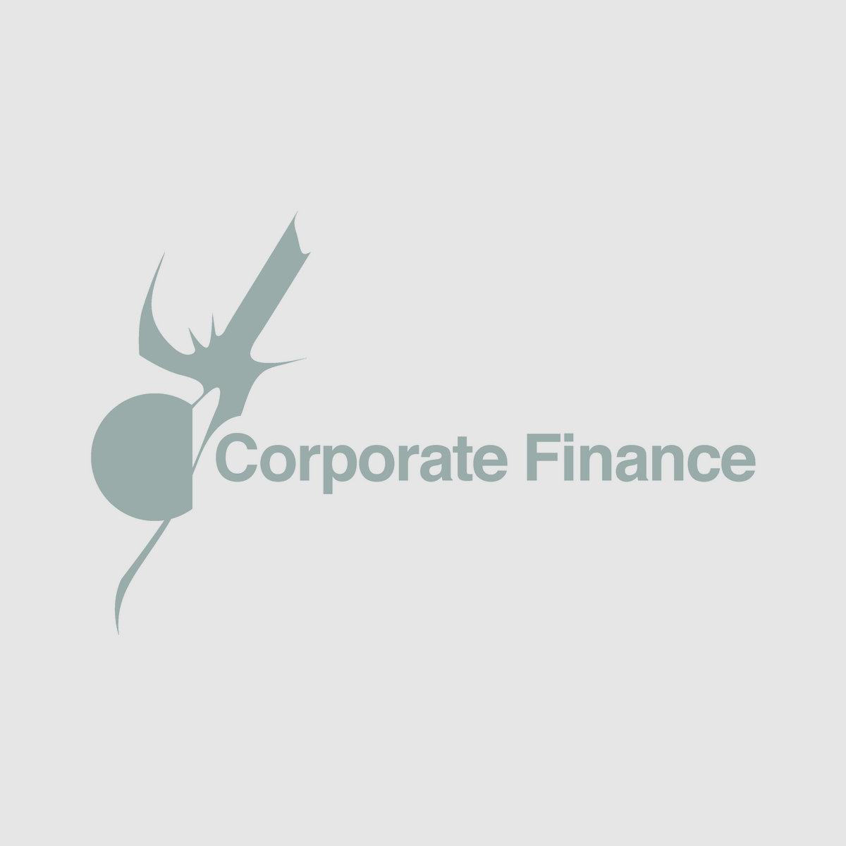 forever dreaming | corporate finance