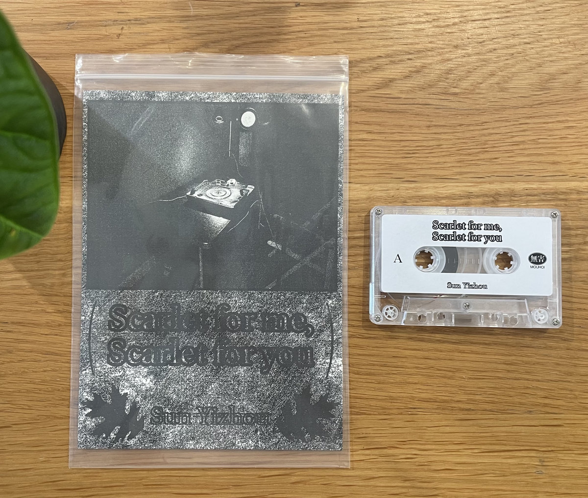 Scarlet for me, Scarlet for you | Sun Yizhou | 無害