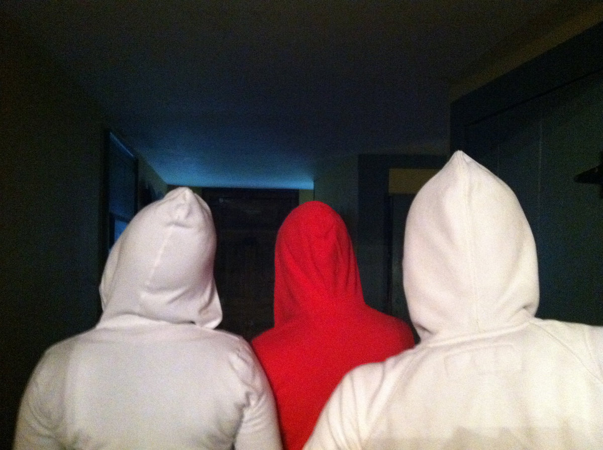 Hi Cow Sixteen | Hi Cow